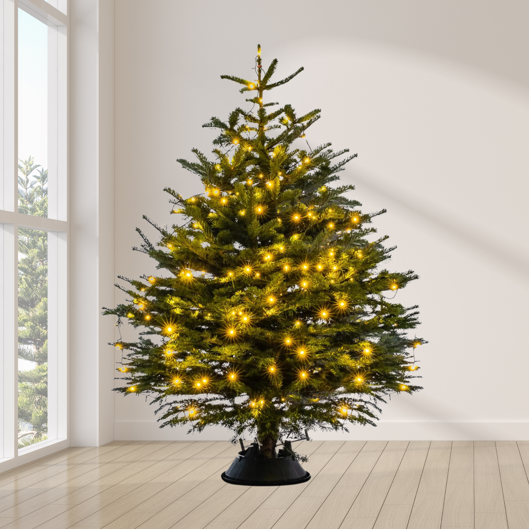 Christmas Tree – Bloombox